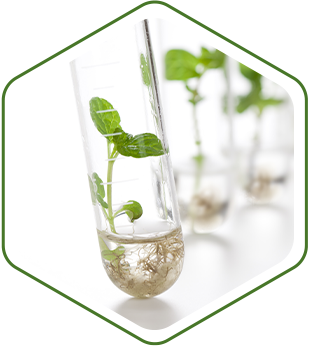 Envirosol - Firme de consultants en environnement - Experts en ...